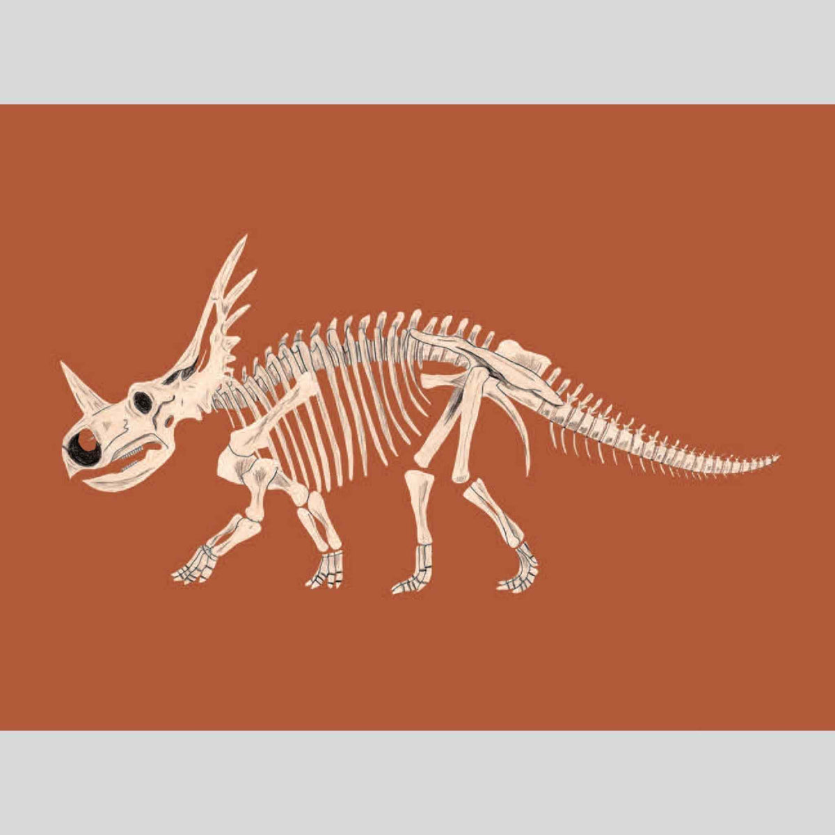 Match These Bones: Dinosaur Memory Game – Webb Street Store